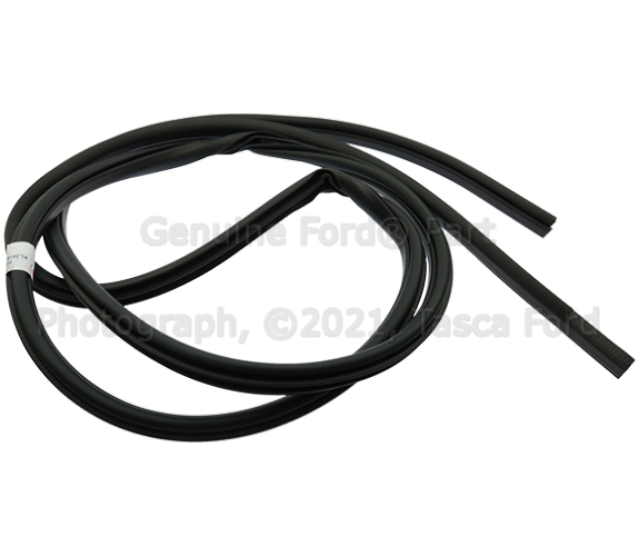 2015-2025 Ford Weather-Strip On Body FL3Z1820708A | TascaParts.com