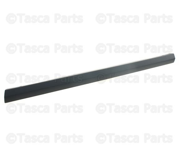 2007-2016 Volvo Body Side Molding 39885604 | TascaParts.com