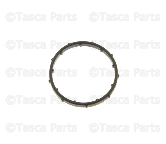 2011-2023 Fiat Engine Coolant Thermostat Gasket 5184894AA | TascaParts.com