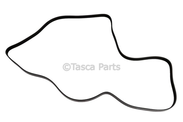 2010-2019 GM Serpentine Belt 12636137 | TascaParts.com