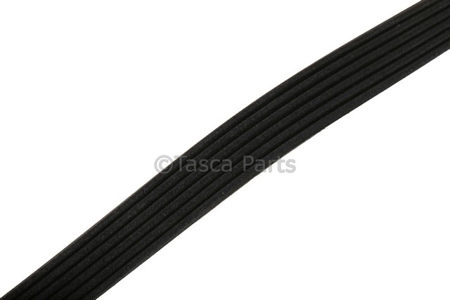 2012-2015 Chevrolet Captiva Sport Serpentine Belt 12653318 | TascaParts.com