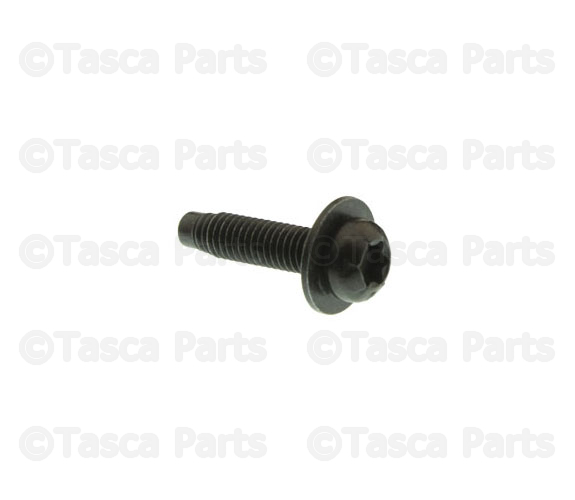 2011-2020 Fiat Pull Pocket Screw 6509795AA | TascaParts.com