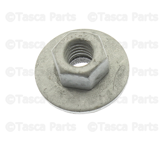 2006-2024 GM Multi-Purpose Nut 11611049 | TascaParts.com