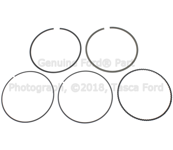 2010-2019 Ford Piston Rings AT4Z6148D | TascaParts.com