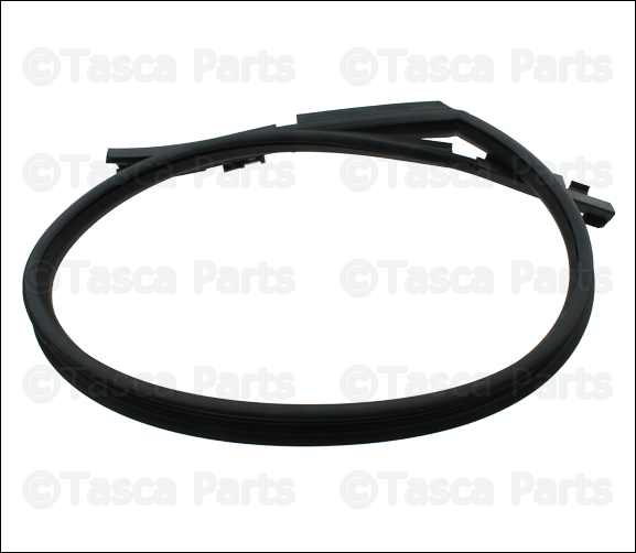 1999-2007 GM Driver Side Front Door Window Weatherstrip 15219153 ...