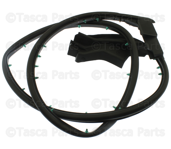 2008-2014 Chrysler Door Weather-Strip 5076134AG | TascaParts.com