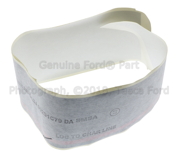 2015-2017 Ford F-150 Stripe - Driver's Side (LH) GL3Z-99290D13-DA ...