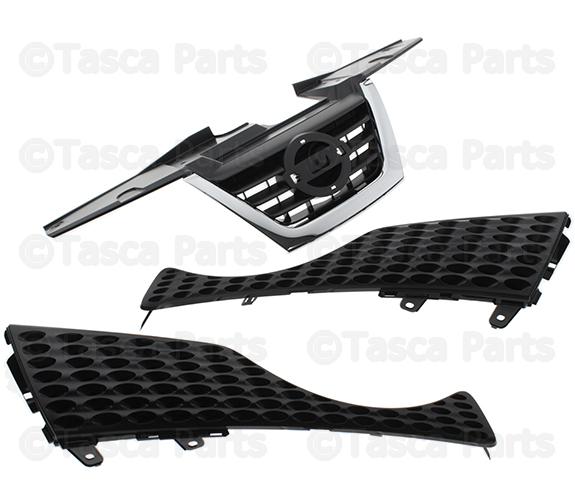 2011-2014 Nissan Juke Grille Assembly 62070-1KA0A | TascaParts.com