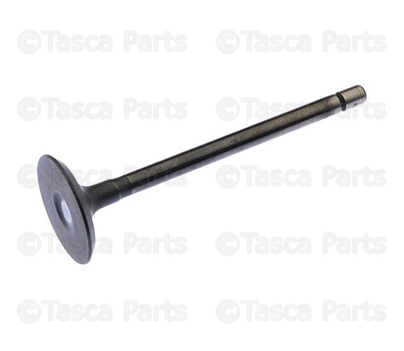 2010-2024 GM Exhaust Valve 12621548 | TascaParts.com