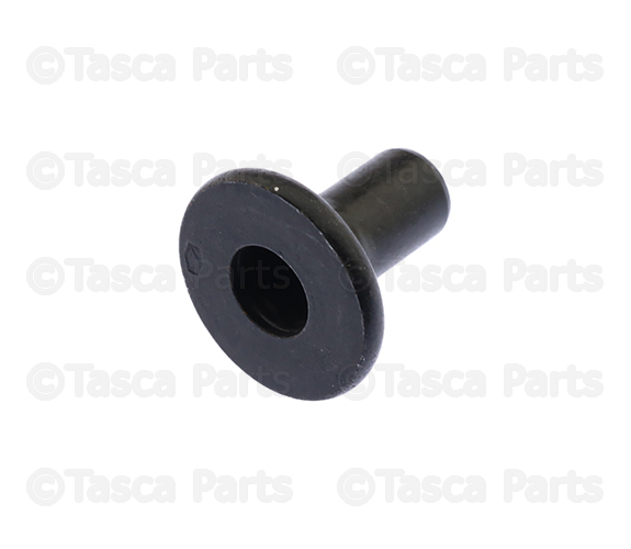 2018-2021 Jeep Fender Nut 6513135AA | TascaParts.com