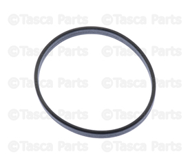 2011-2021 Fiat O-Ring 5184855AB | TascaParts.com