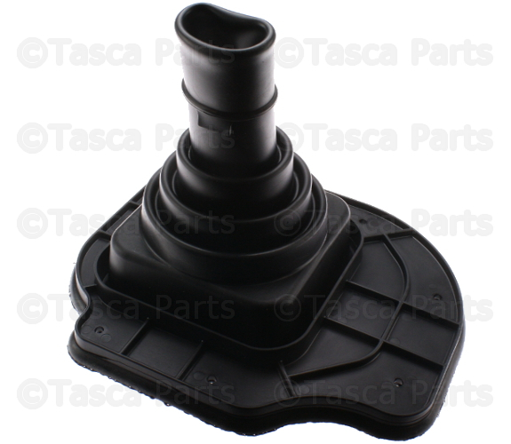 2005 Dodge Boot 55398764AA | TascaParts.com