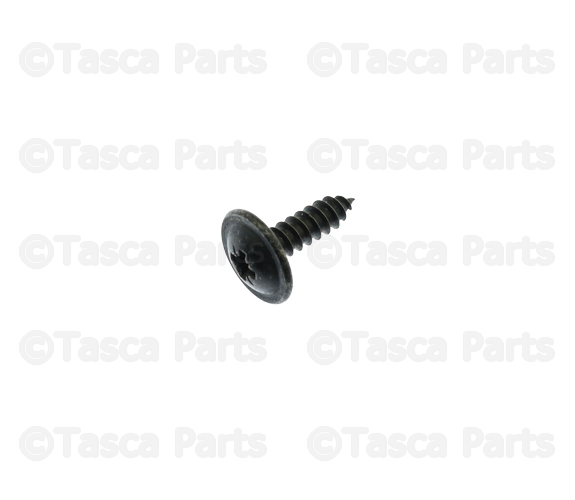 2014-2025 Mopar Pan Head Screw 6107134AA | TascaParts.com