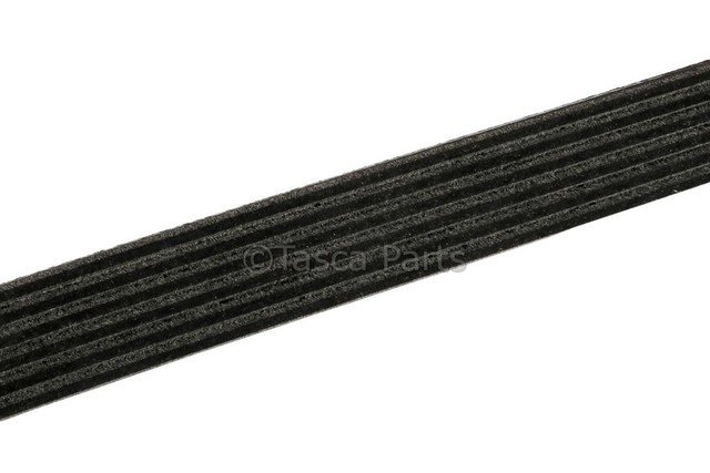 1987-2000 GM Fan Belt 19244952 | TascaParts.com