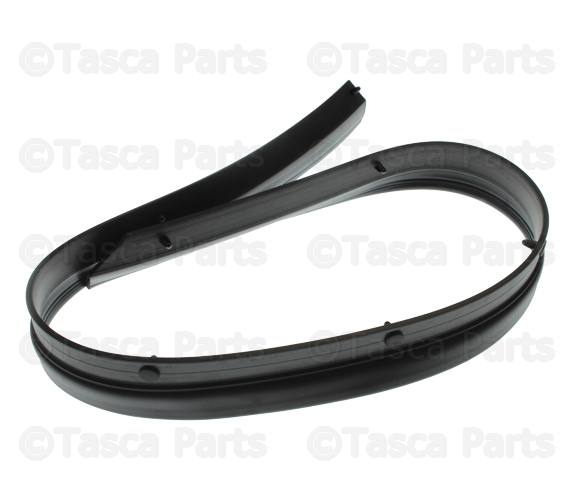 2004-2015 Nissan Seal Strip - Passenger Side (RH) 80838-7S000 ...