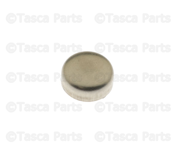 1999-2022 GM LS7 Bare Engine Block Hole Plug 09427693 | TascaParts.com
