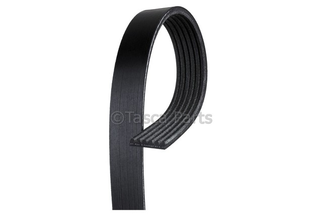 1997-2005 GM V-Ribbed Serpentine Belt 12588408 | TascaParts.com