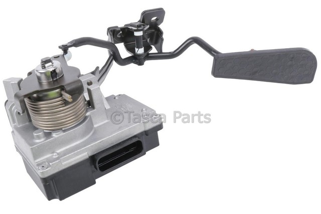Pedal 24506358 | TascaParts.com