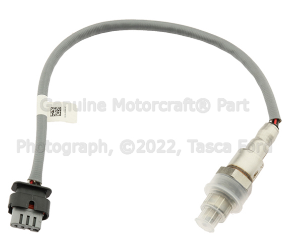 2017-2024 Ford Oxygen Sensor HL3Z-9G444-B | TascaParts.com