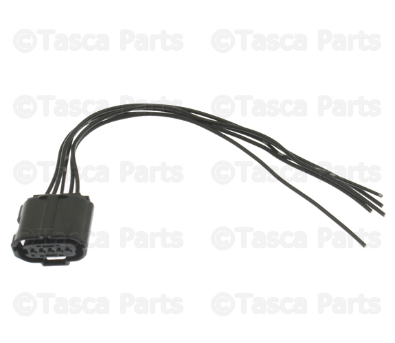 Cord Short D4Y2-67-SH3 | TascaParts.com