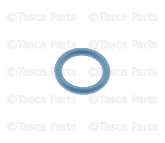 2011-2021 Fiat Tube O-Ring 5047077AB | TascaParts.com
