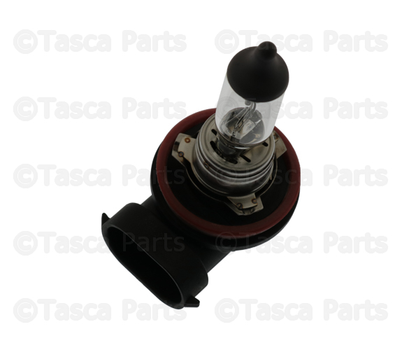 2019-2025 Chevrolet Bulb 13503417 | TascaParts.com
