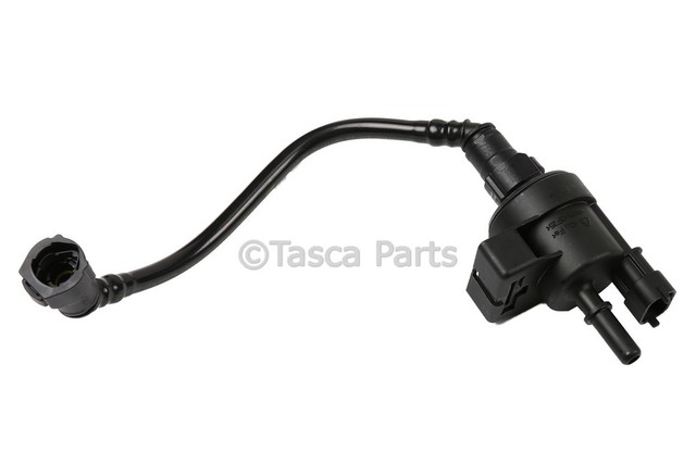 Pipe 55567454 | TascaParts.com