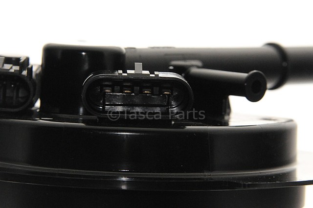 Fuel Pump and Level Sensor Module with Seal 19368796 | TascaParts.com