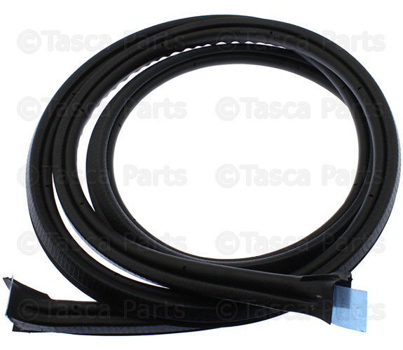 1996-2024 GM Rear Door Weatherstrip 19259359 | TascaParts.com