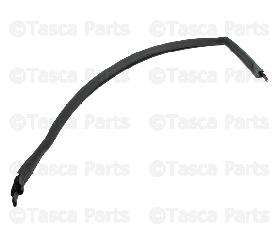 2008-2021 Dodge Challenger Run Weather-Strip - Passenger Side (RH ...