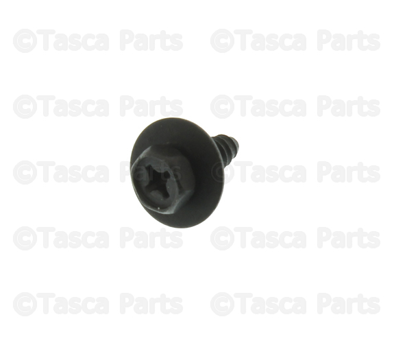 2004-2019 Nissan Rocker Molding Screw 01466-00163 | TascaParts.com