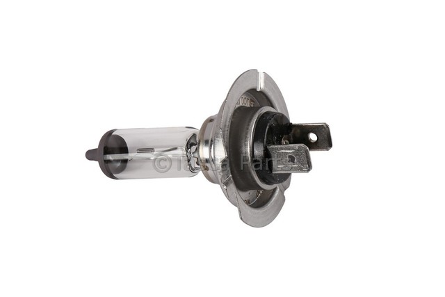 2007-2017 GM Headlamp Bulb 13503384 | TascaParts.com