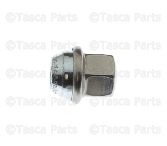 2011-2023 Mopar Wheel Lug Nut 6509873AA | TascaParts.com