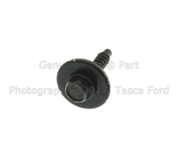 2013-2024 Ford Wheel Opening Molding Retainer Screw -W716345-S450B ...