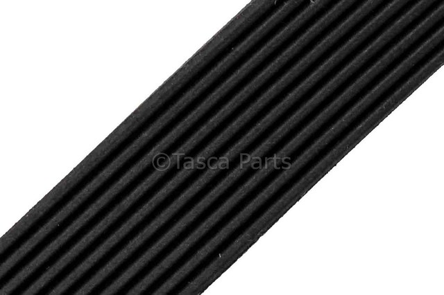 2016-2018 GM V-Ribbed Serpentine Belt 12667356 | TascaParts.com