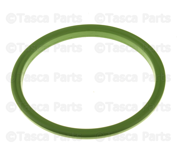 2003-2019 Mopar Fuel Injection Pressure Regulator O-Ring 4809783AA ...