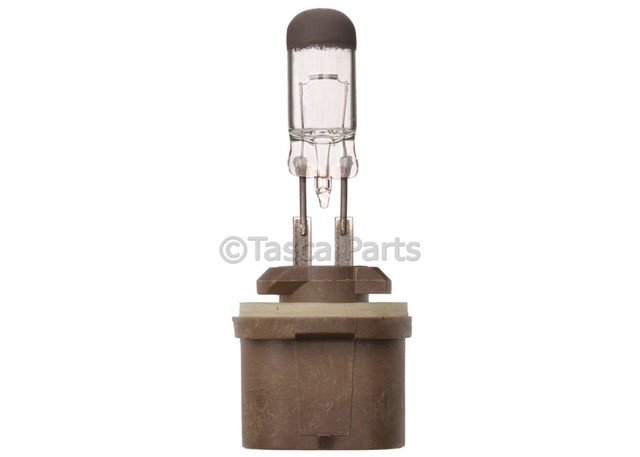 1991-2009 GM Bulb 19257057 | TascaParts.com