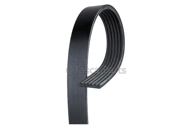 2012 Chevrolet Sonic V-Ribbed Serpentine Belt 55580052 | TascaParts.com