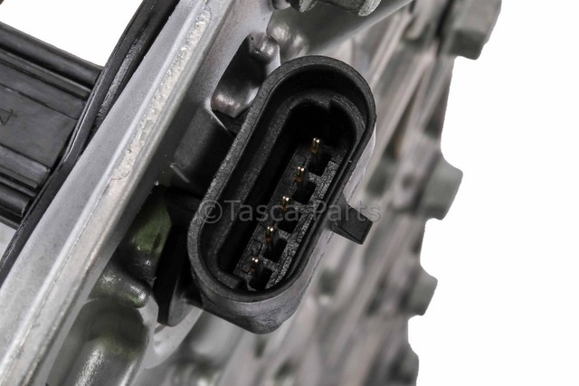 Valve Lifter Oil Manifold 12698755 | TascaParts.com