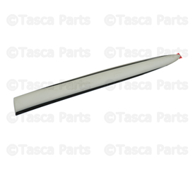 1999-2002 GM Side Body Panel Molding 15744376 | TascaParts.com