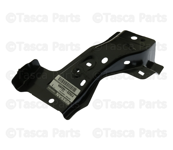 2014-2019 Nissan Rogue Side Support - Passenger Side (RH) F2520-4BAMA ...