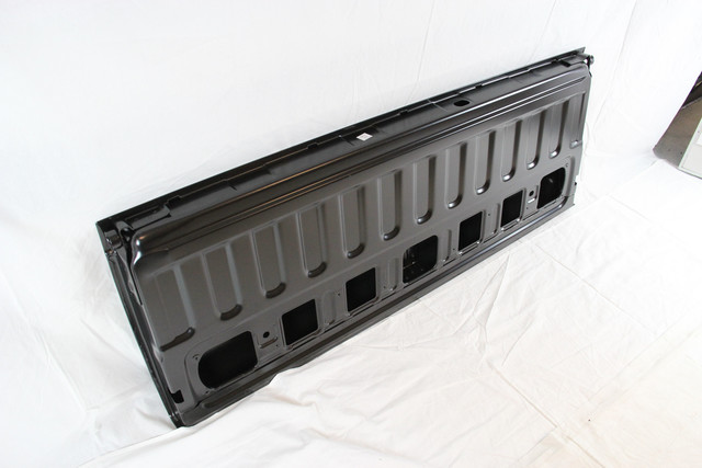 2002-2009 Dodge Tail Gate 55275969AB | TascaParts.com