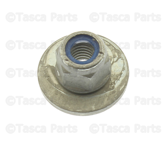 2016-2024 GM Multi-Purpose Nut 11570142 | TascaParts.com