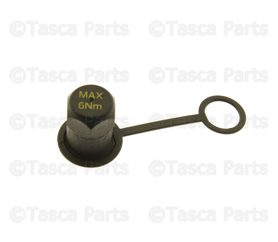 2007-2022 Volvo Valve Cap 3545575 | TascaParts.com