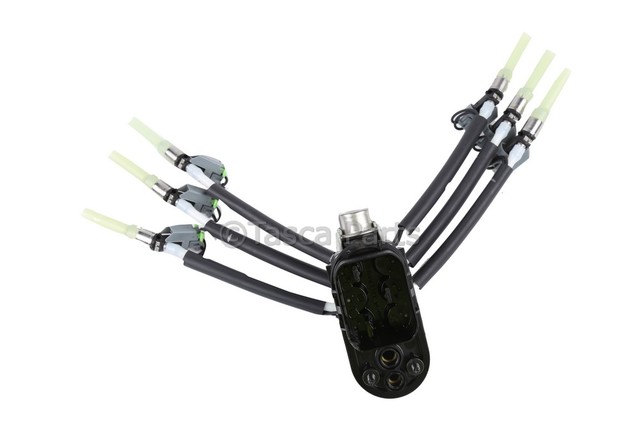 Multi-Port Fuel Injector Assembly 19210688 | TascaParts.com