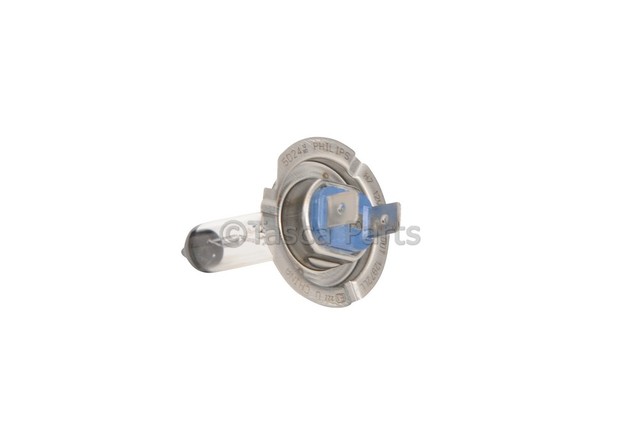 2013-2019 GM Headlamp Bulb 13586976 | TascaParts.com