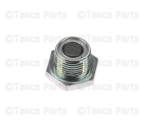 Drain Plug 30713956 | TascaParts.com