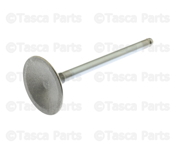 1996-2009 GM Engine Intake Valve 12616697 | TascaParts.com