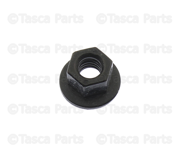 2015-2025 GM Multi-Purpose Nut 11546446 | TascaParts.com