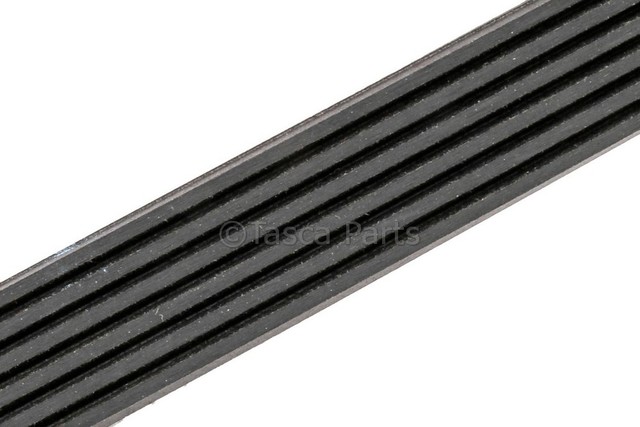 1998-2005 GM Serpentine Belt 12575425 | TascaParts.com